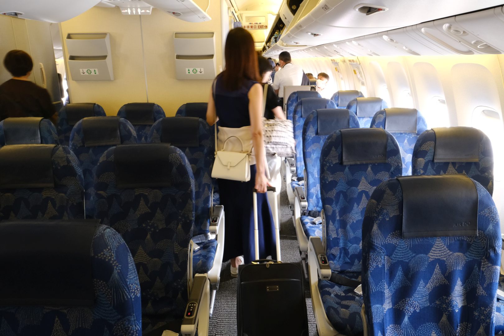 Flying from Tokyo to Asahikawa AKJ Hokkaido Japan in Domestic B767-300 Economy Class: Air DO ...